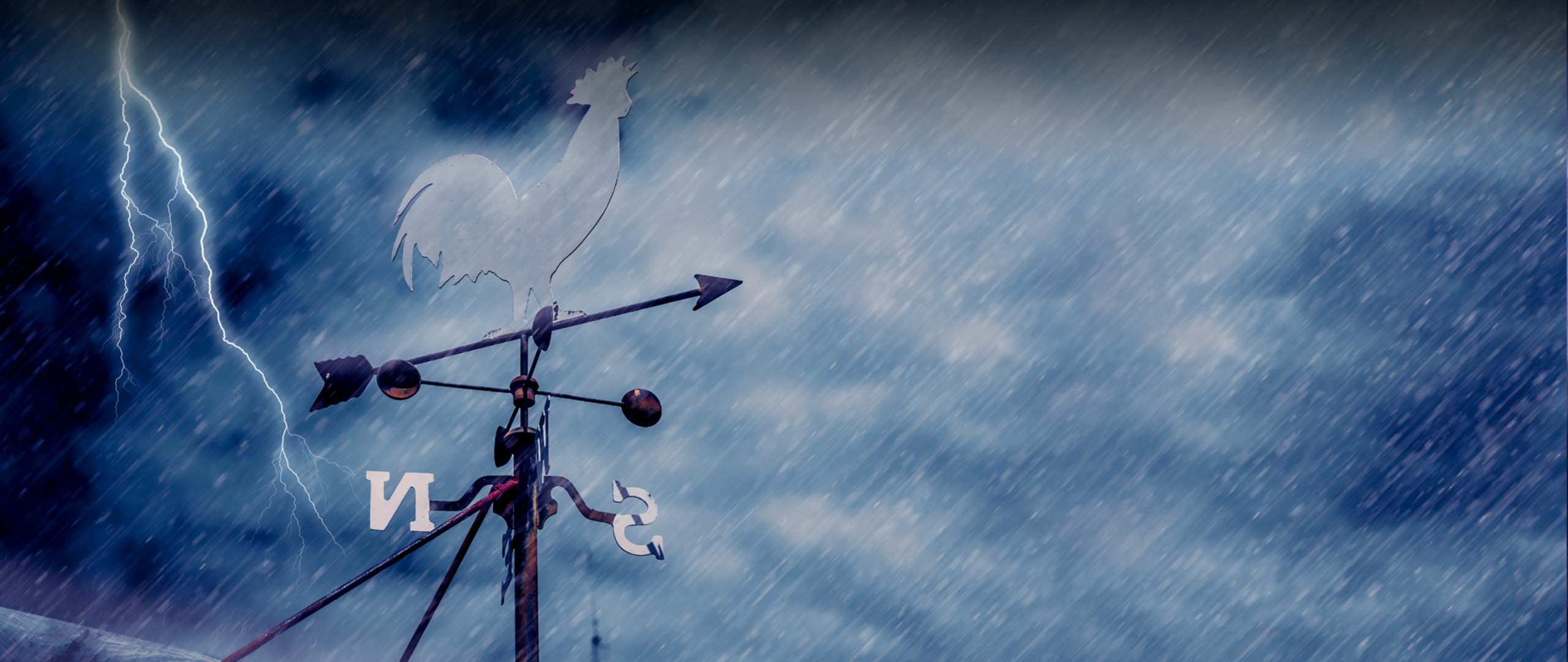 In The News – CatIQ Connect